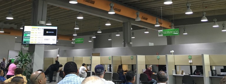 How to Get a Driver's License in Puerto Rico, 6 Easy and Quick Steps