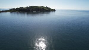 Kayaking Around Monkey Island, Puerto Rico