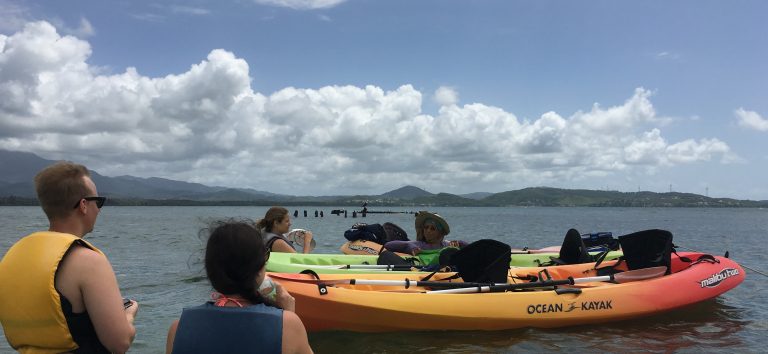 Kayaking Around Monkey Island, Puerto Rico