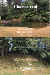 Charco Azul, Patillas | Fresh Water Natural Pool Puerto Rico Travel Guide