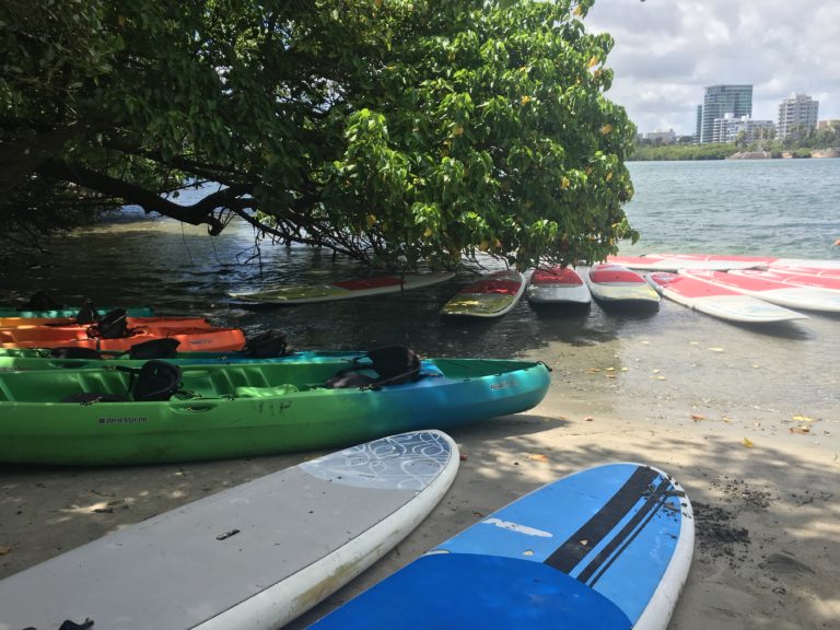 Stand Up Paddleboard on Condado Lagoon | Adventure in San Juan Puerto Rico