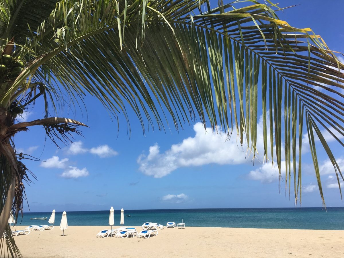 Plan Your Visit to Nevis Island | What to Know Before You Go