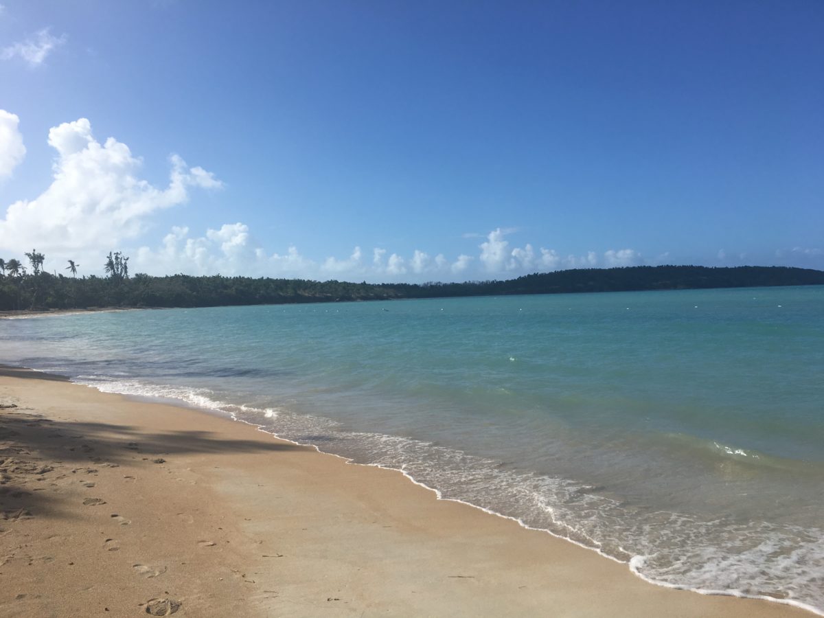 Over view of Fajardo, Puerto Rico | Beaches, Bio Bay, and More